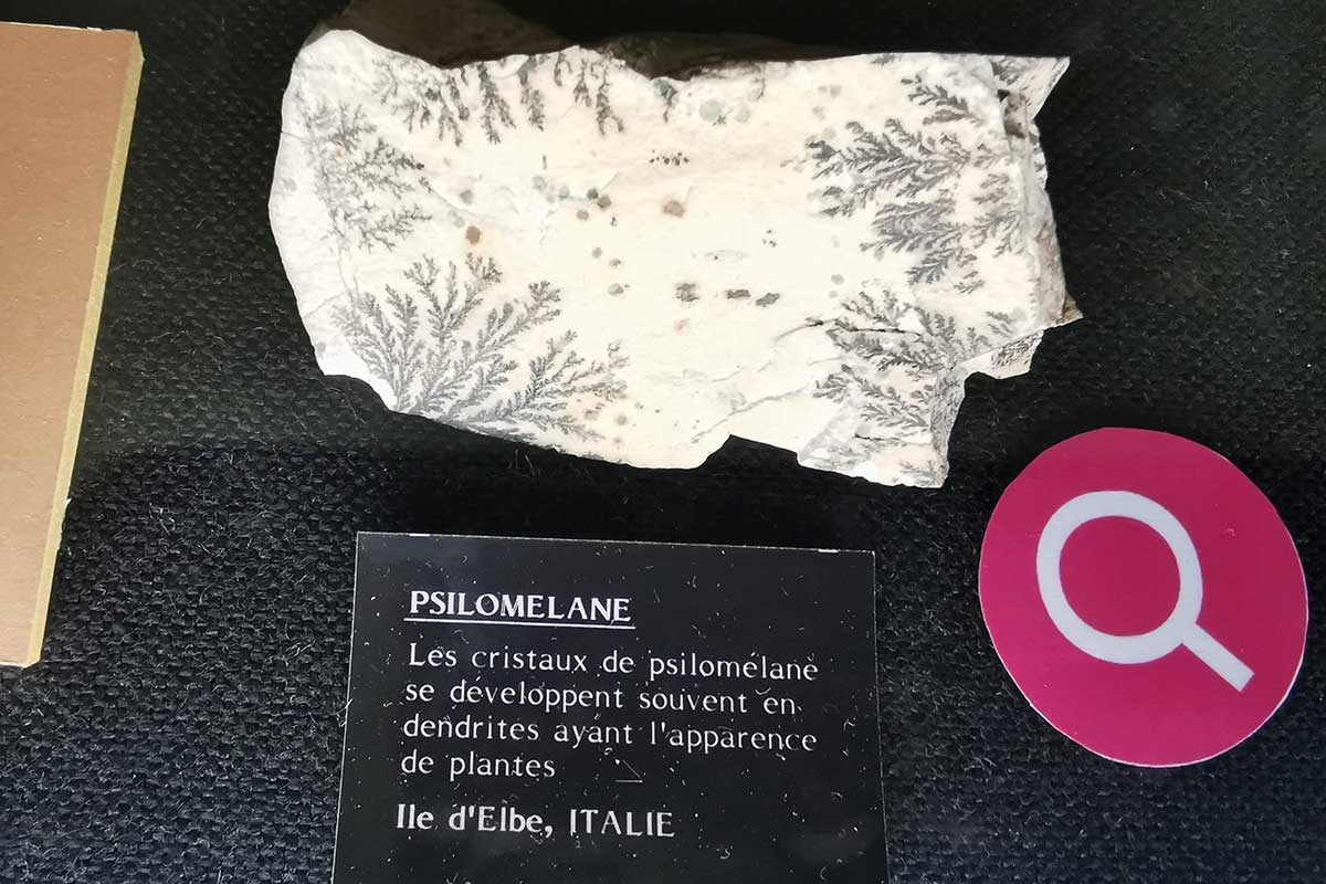Le Musée de Minéralogie de Strasbourg : une visite surprenante - Cotad