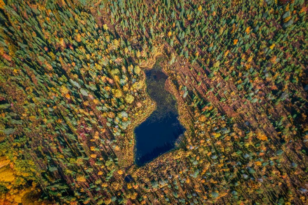 Neitokainen, le lac qui a la même forme que la Finlande - Cotad