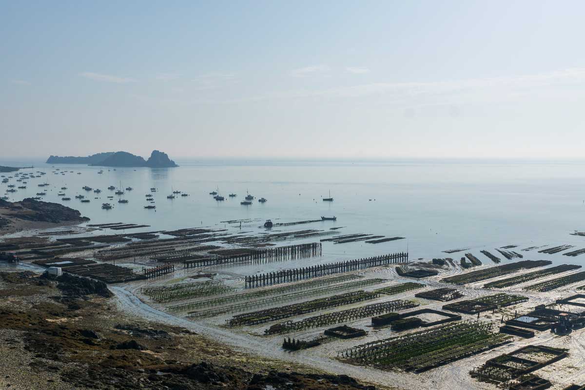 Visiter Cancale : mes incontournables à voir et à faire - Cotad